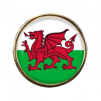 UK Gift Shop Church in Wales Round Pin Badge